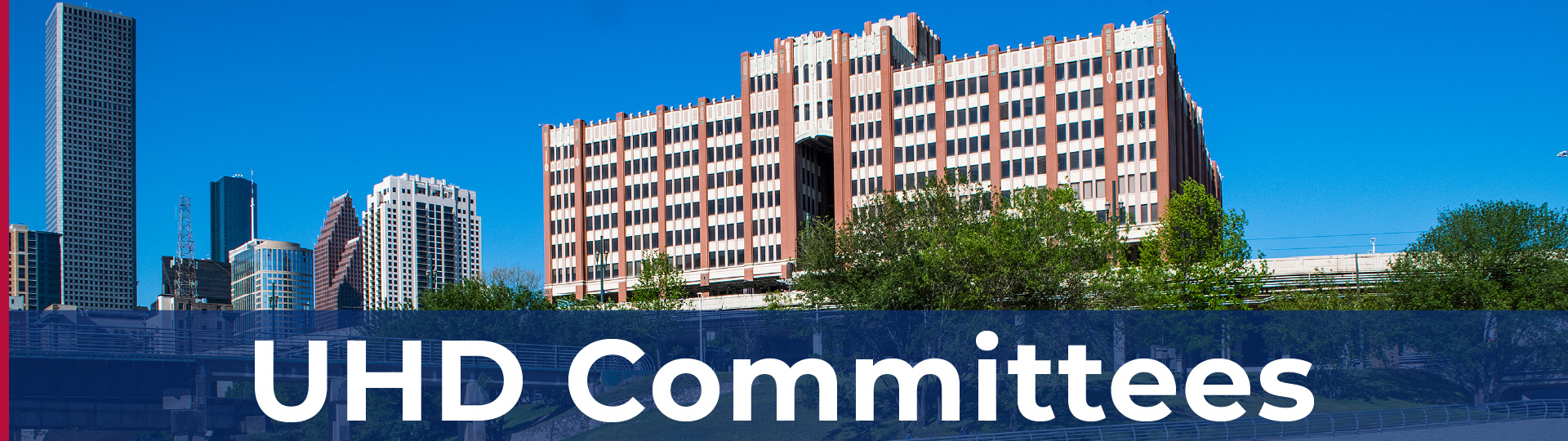 University Committees
